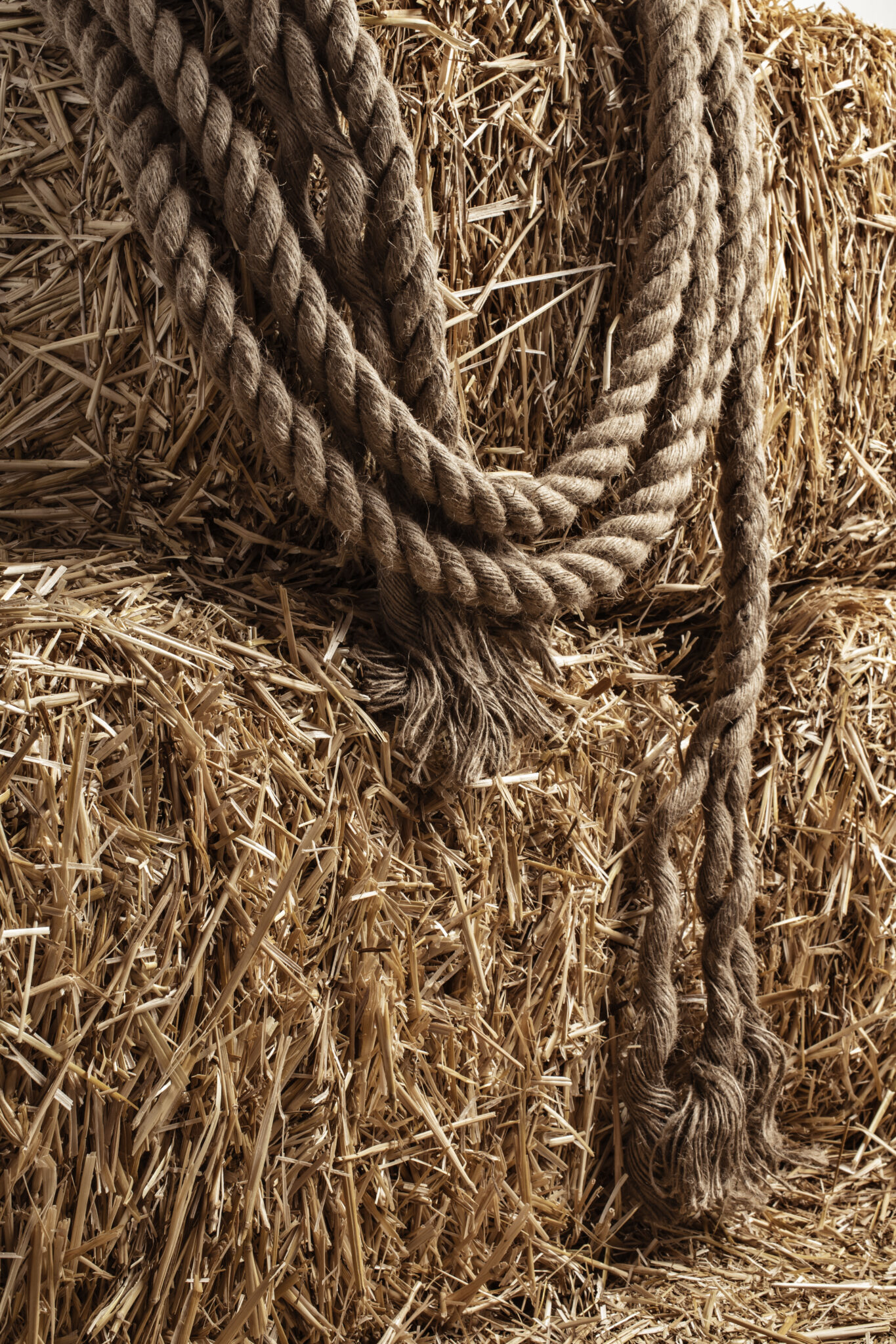 Shop Hemp Composites, Animal Bedding, Reboards & Hemp board